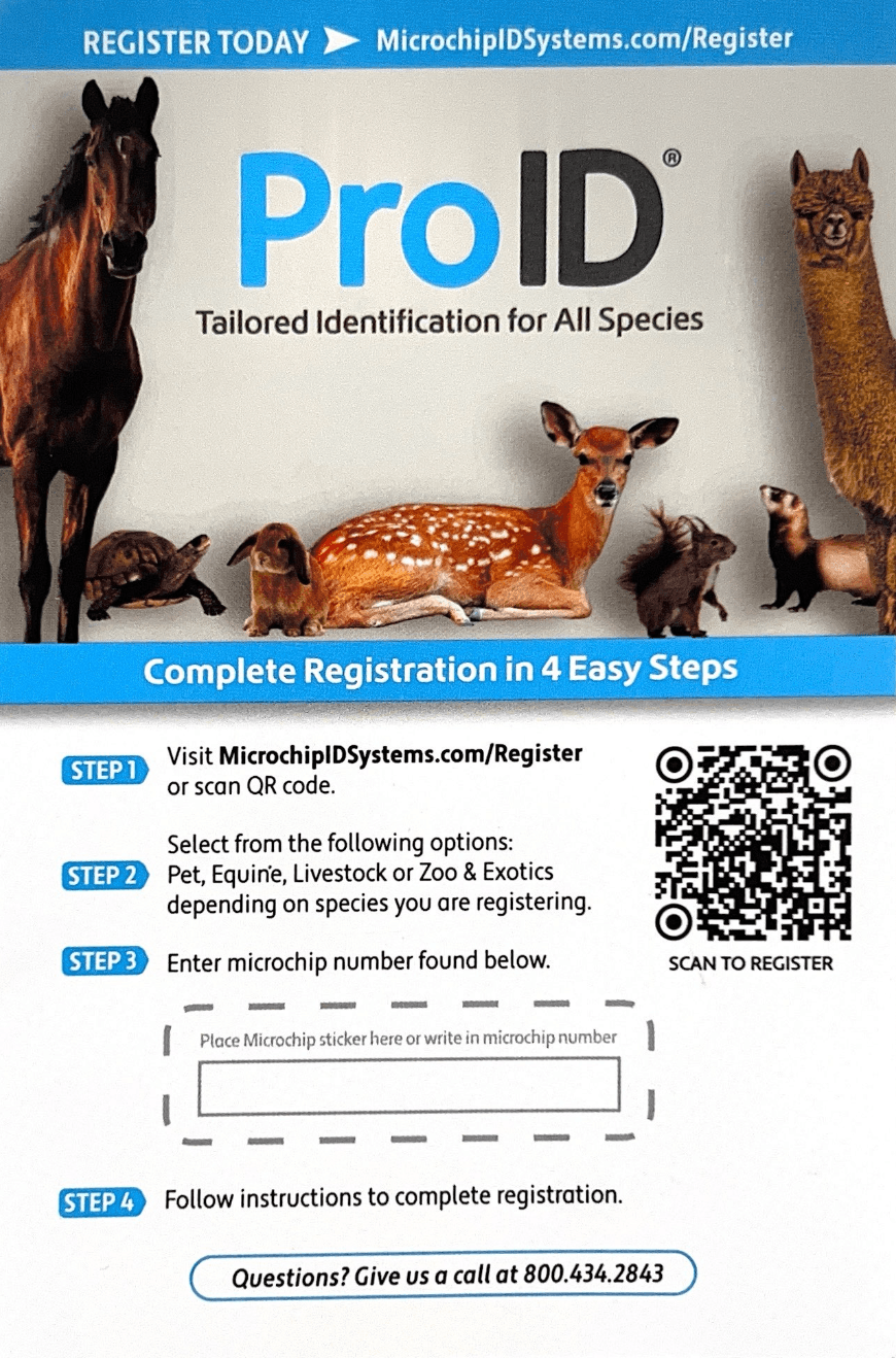 Registering Your Pet's Microchip - Colonial Village Labradoodles